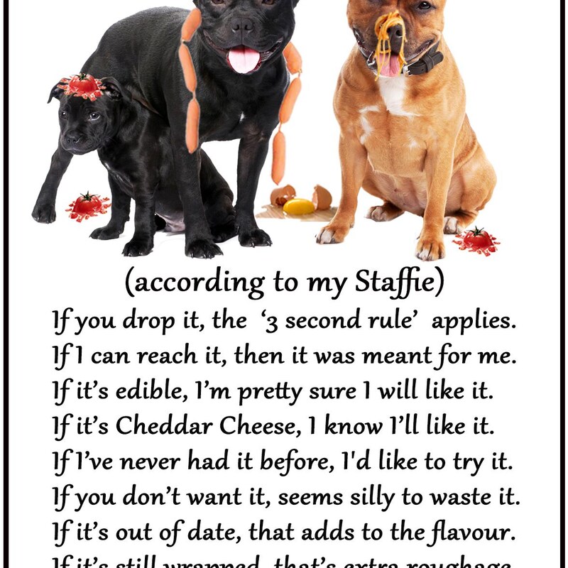 Funny Staffy Signs - Etsy UK
