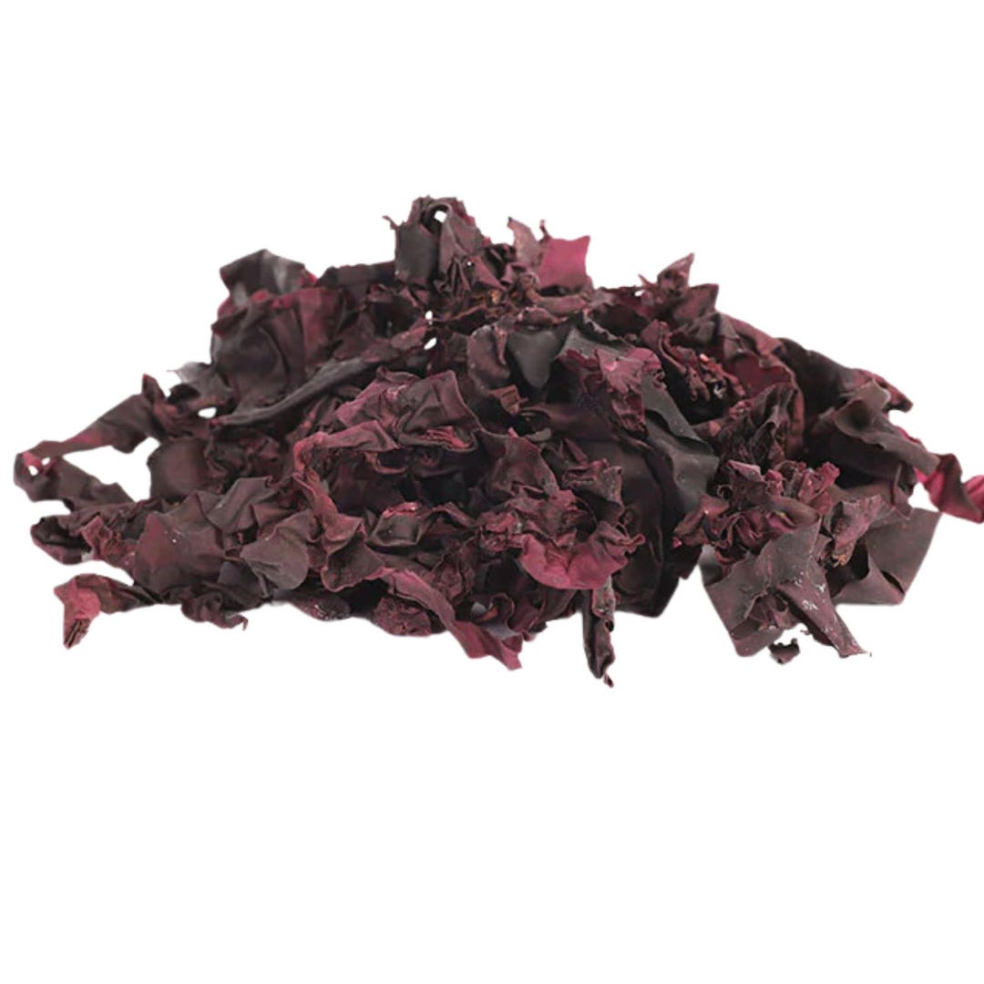 Wild North Atlantic Dulse Whole Leaf | Harvested From the Pristine ...