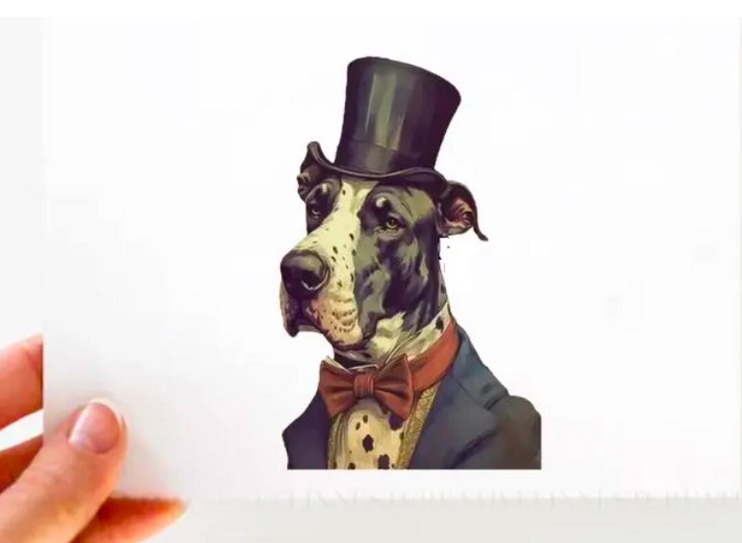What Are You Doing New Year's Eve Great Dane in Tuxedo Christmas Cards ...