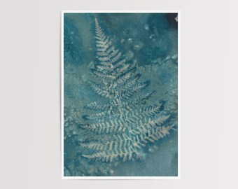 Cyanotype Print - Etsy