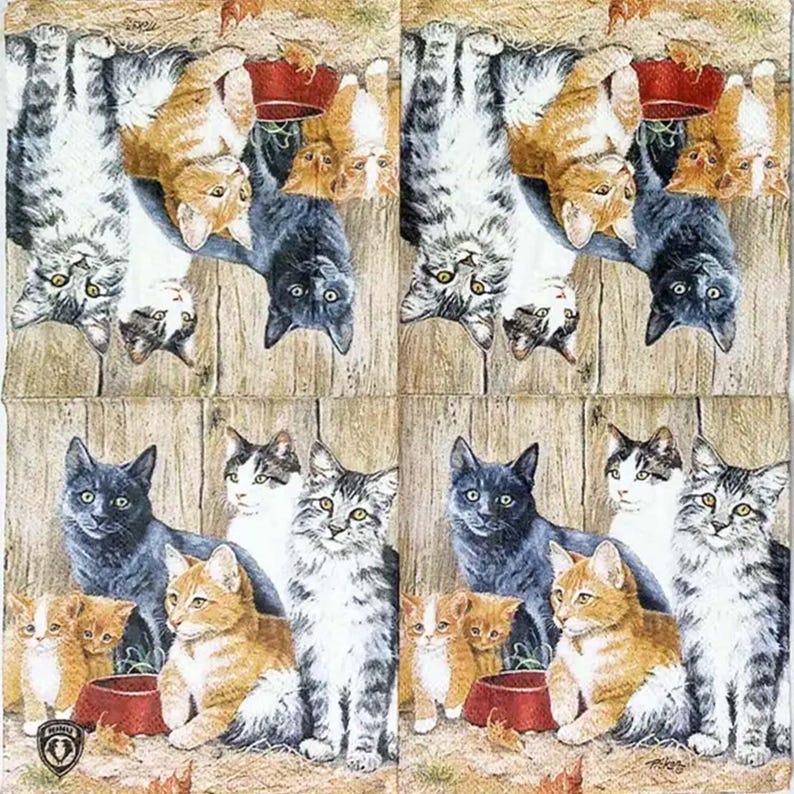 X-9s Charming Cat Printed Paper Napkins, for Decoupage & DIY Crafts, 2 ...