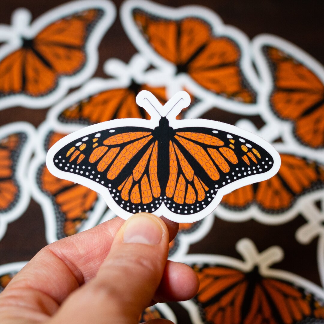 Knitted Monarch Butterfly Sticker: 3-inch Vinyl Insect Decal - Etsy