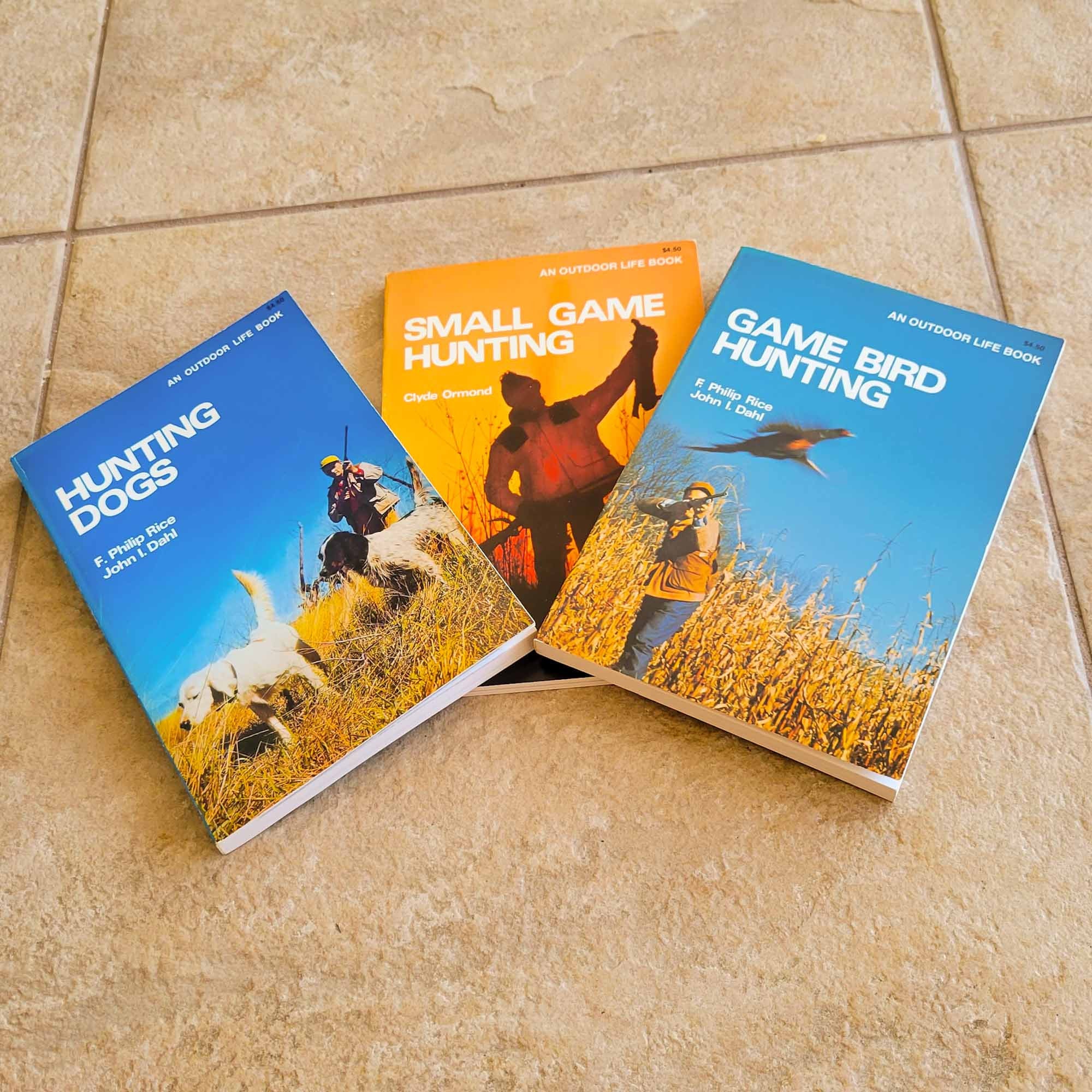 Bird Hunting Games