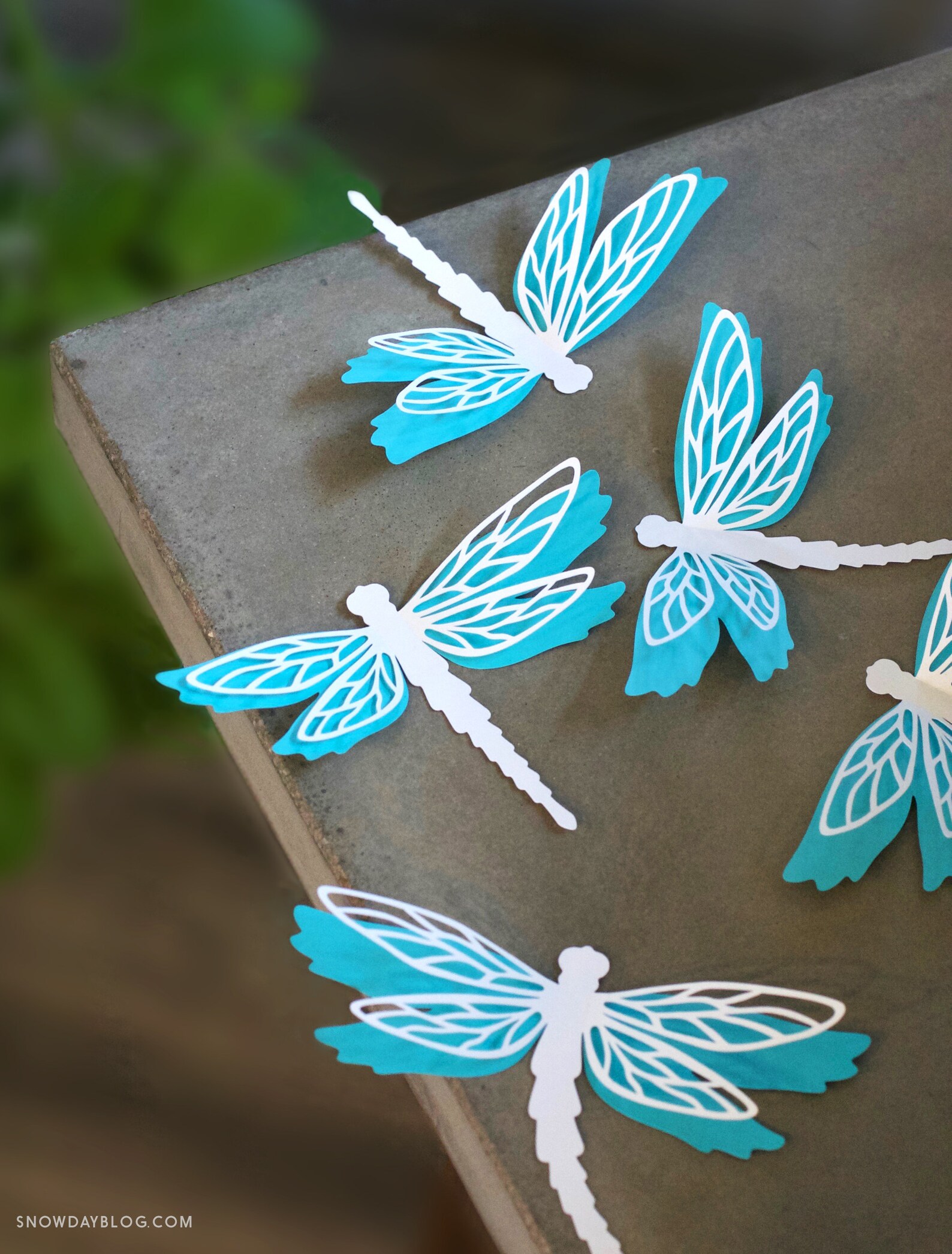 Dragonfly SVG Dragonfly Wall Stickers 3D Dragonfly SVG - Etsy