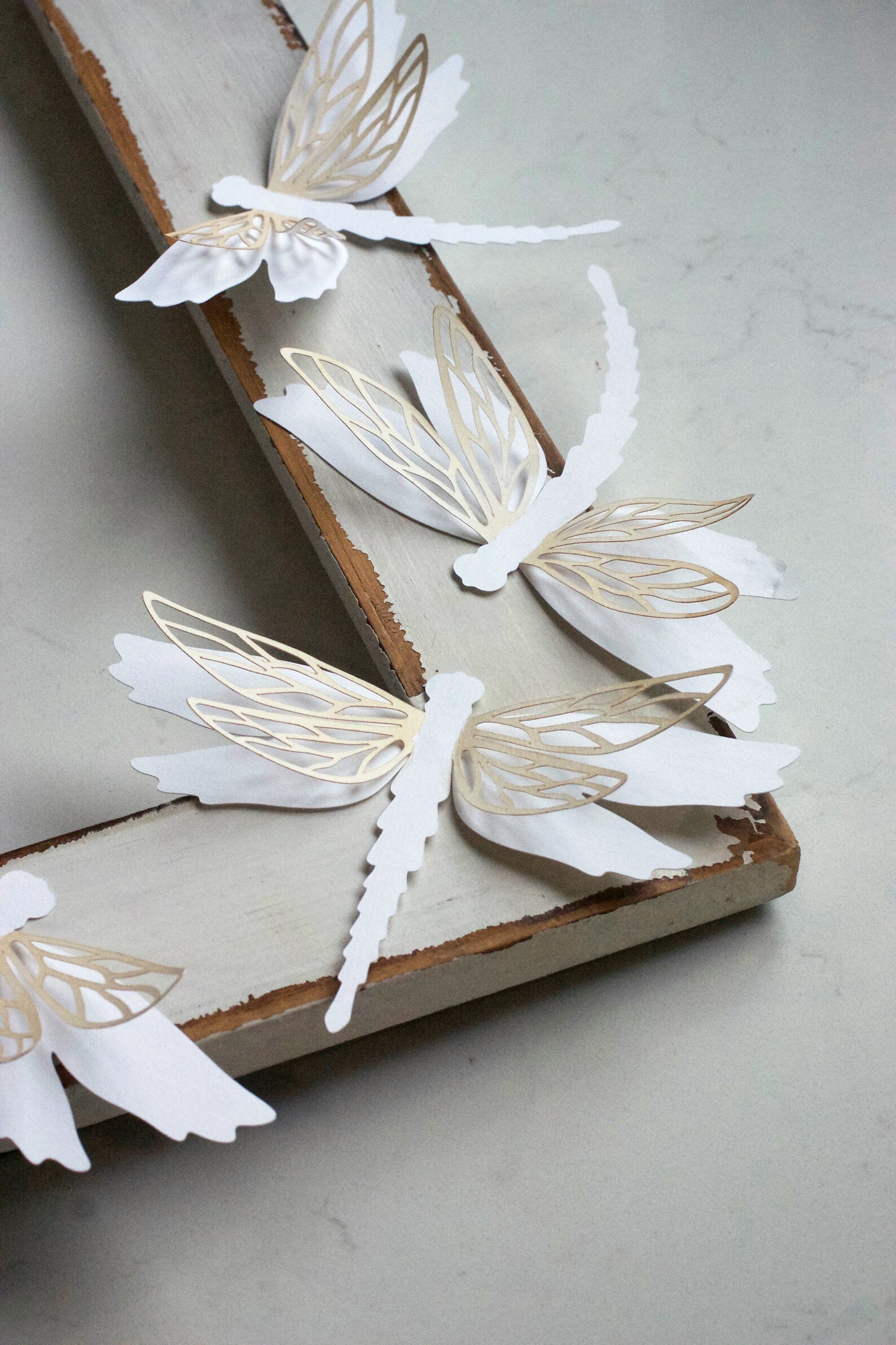 Dragonfly SVG Dragonfly Wall Stickers 3D Dragonfly SVG - Etsy