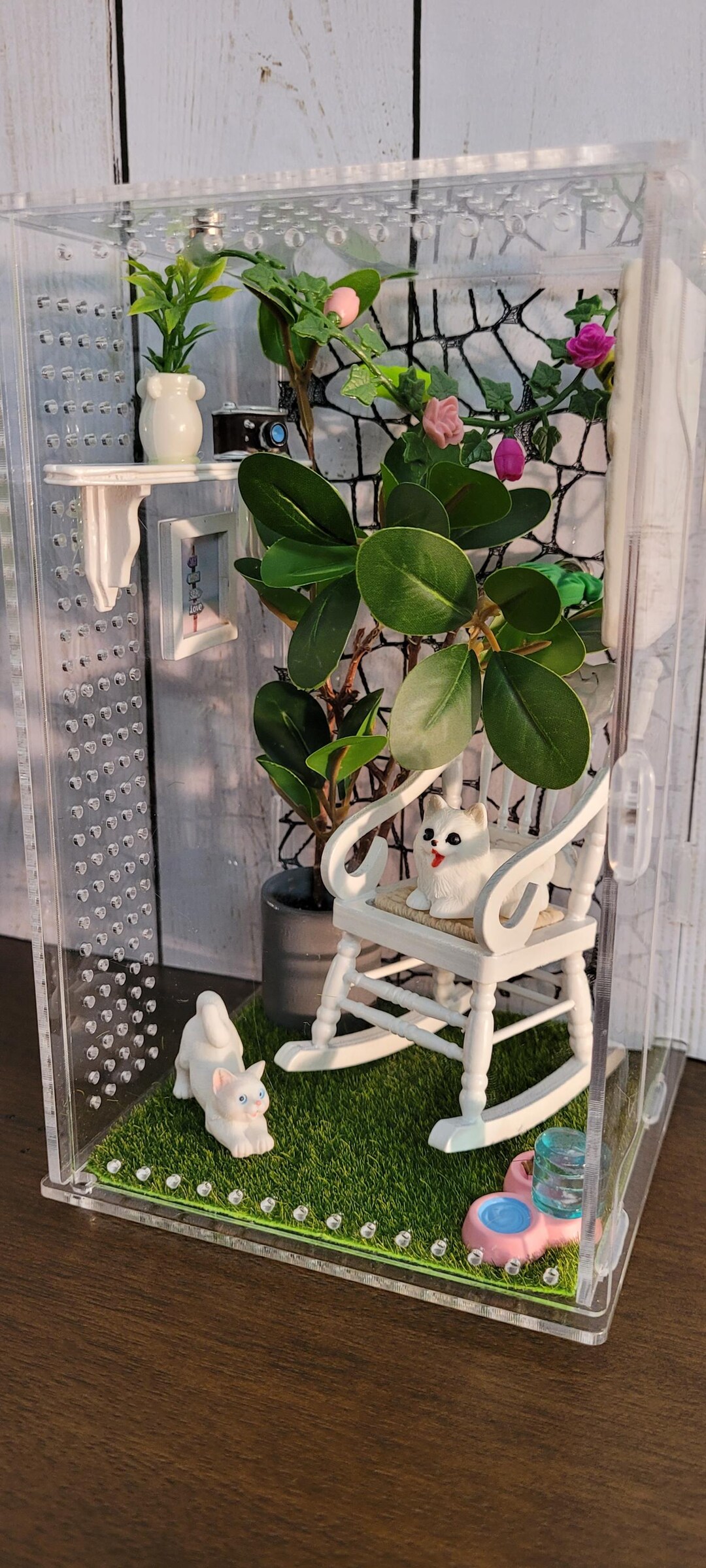 Large Jumping Spider Enclosure - Etsy