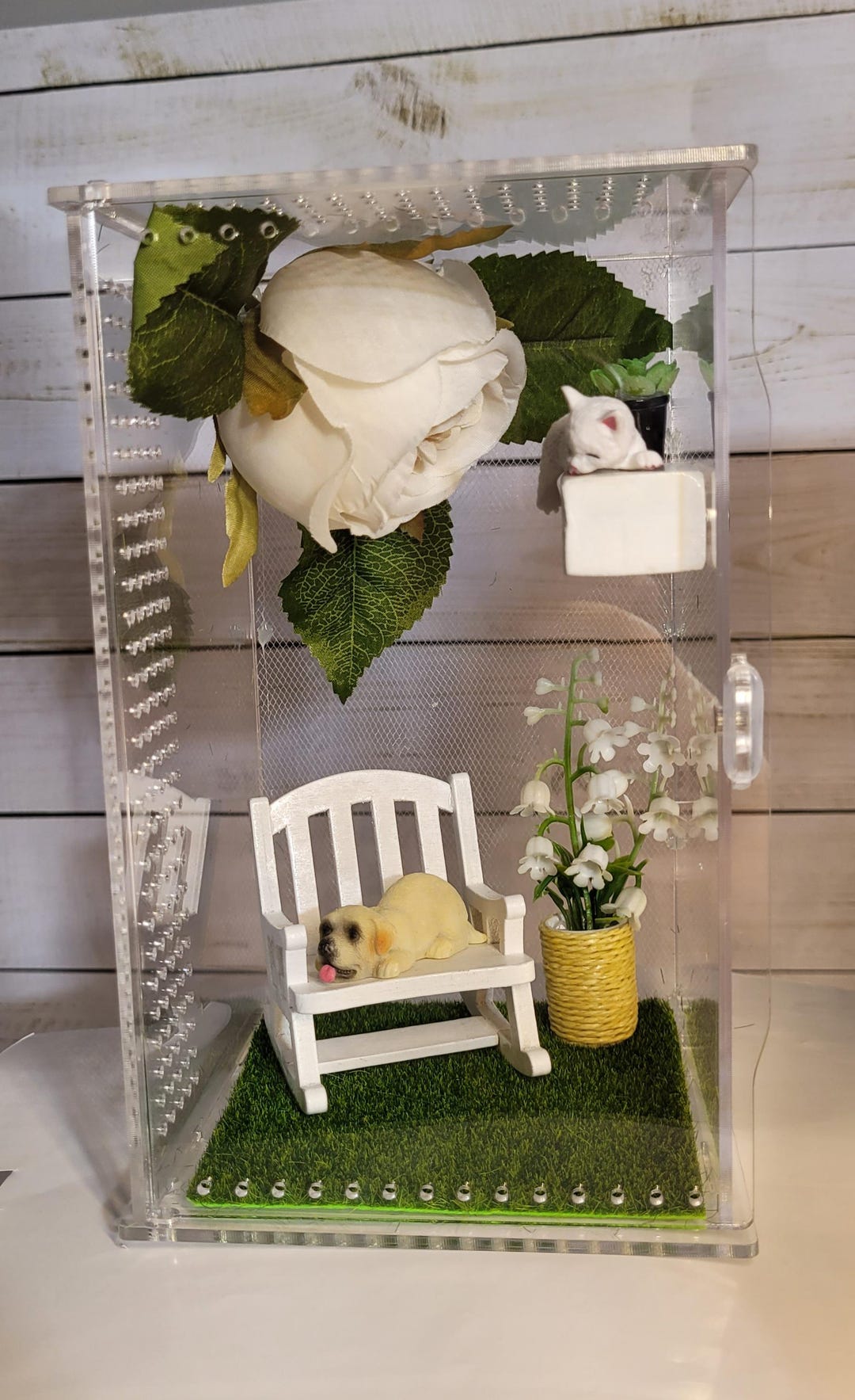 Large Jumping Spider Enclosure - Etsy