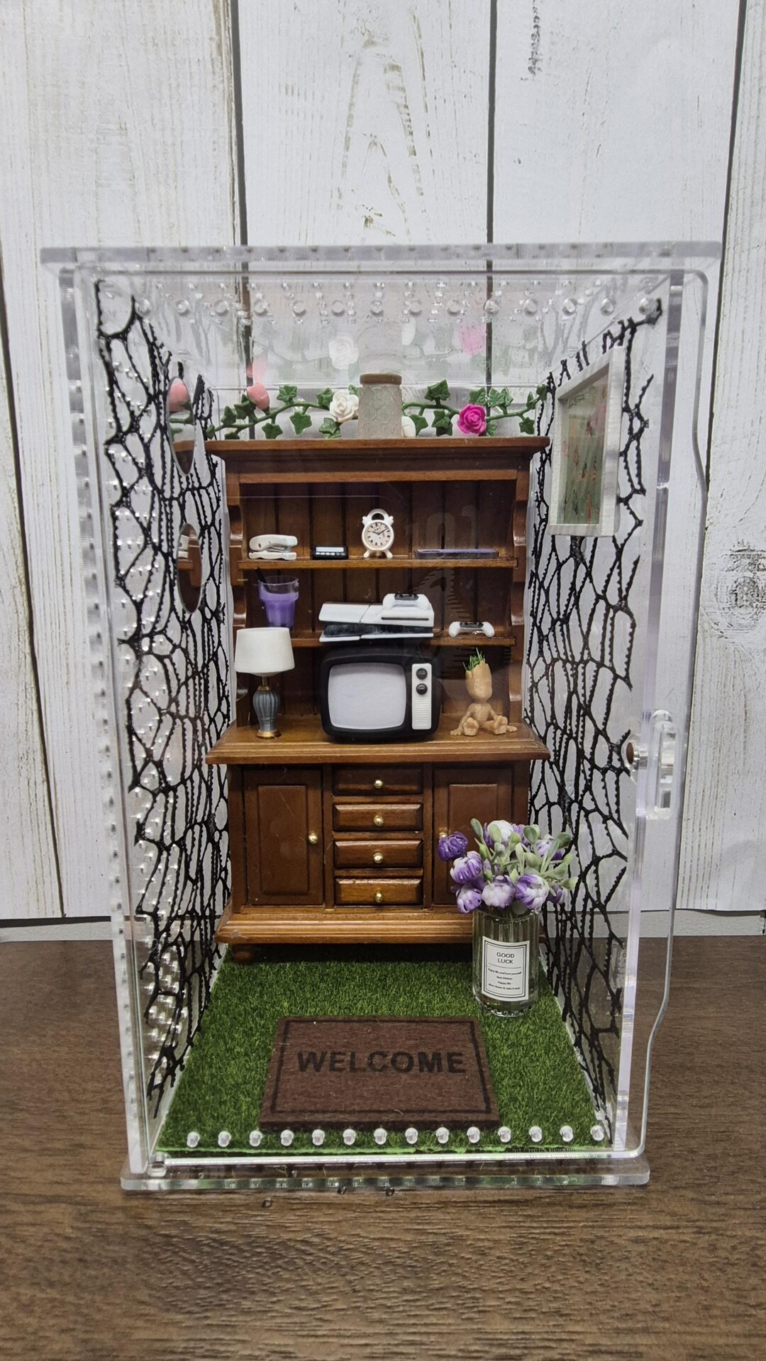 Large TV Jumping Spider Enclosure - Etsy