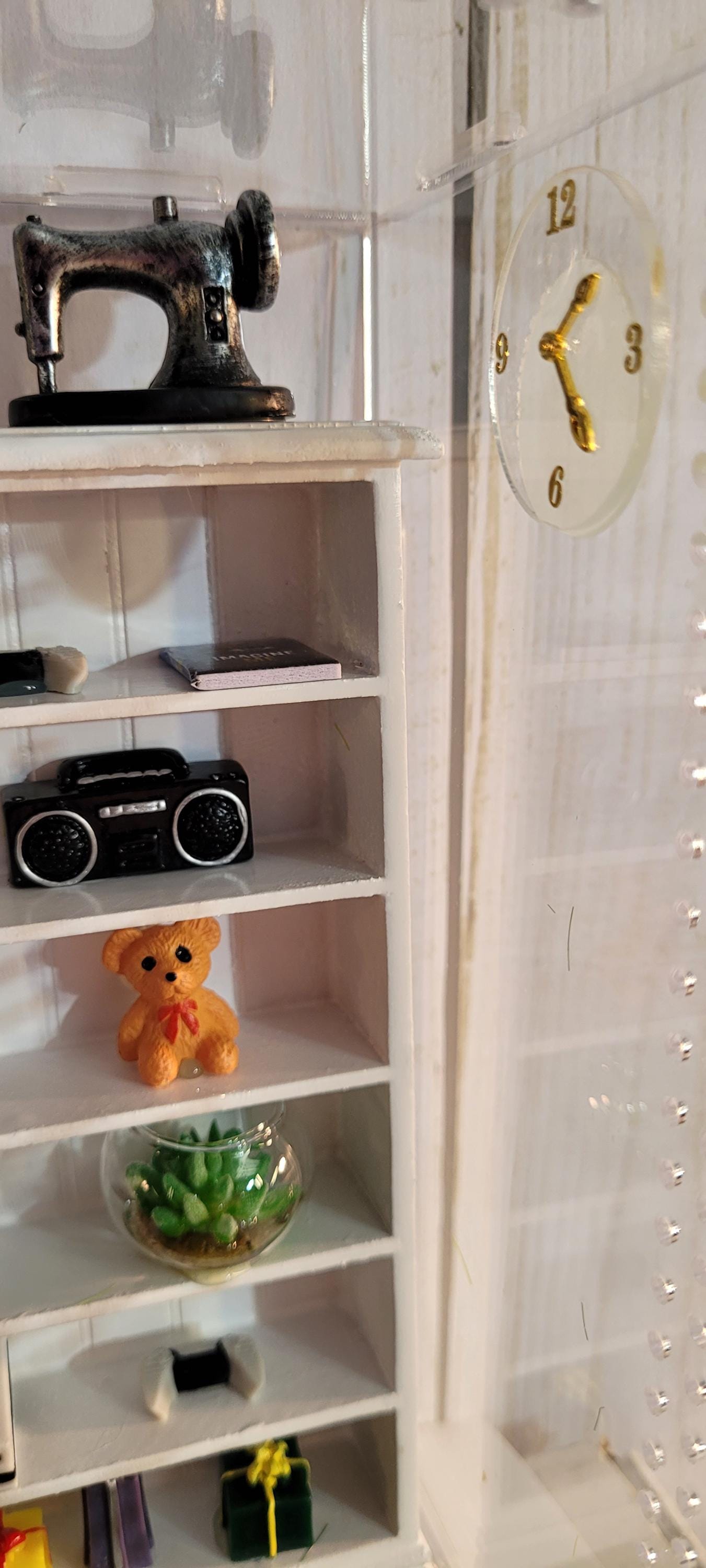 Large Jumping Spider Enclosure - Etsy