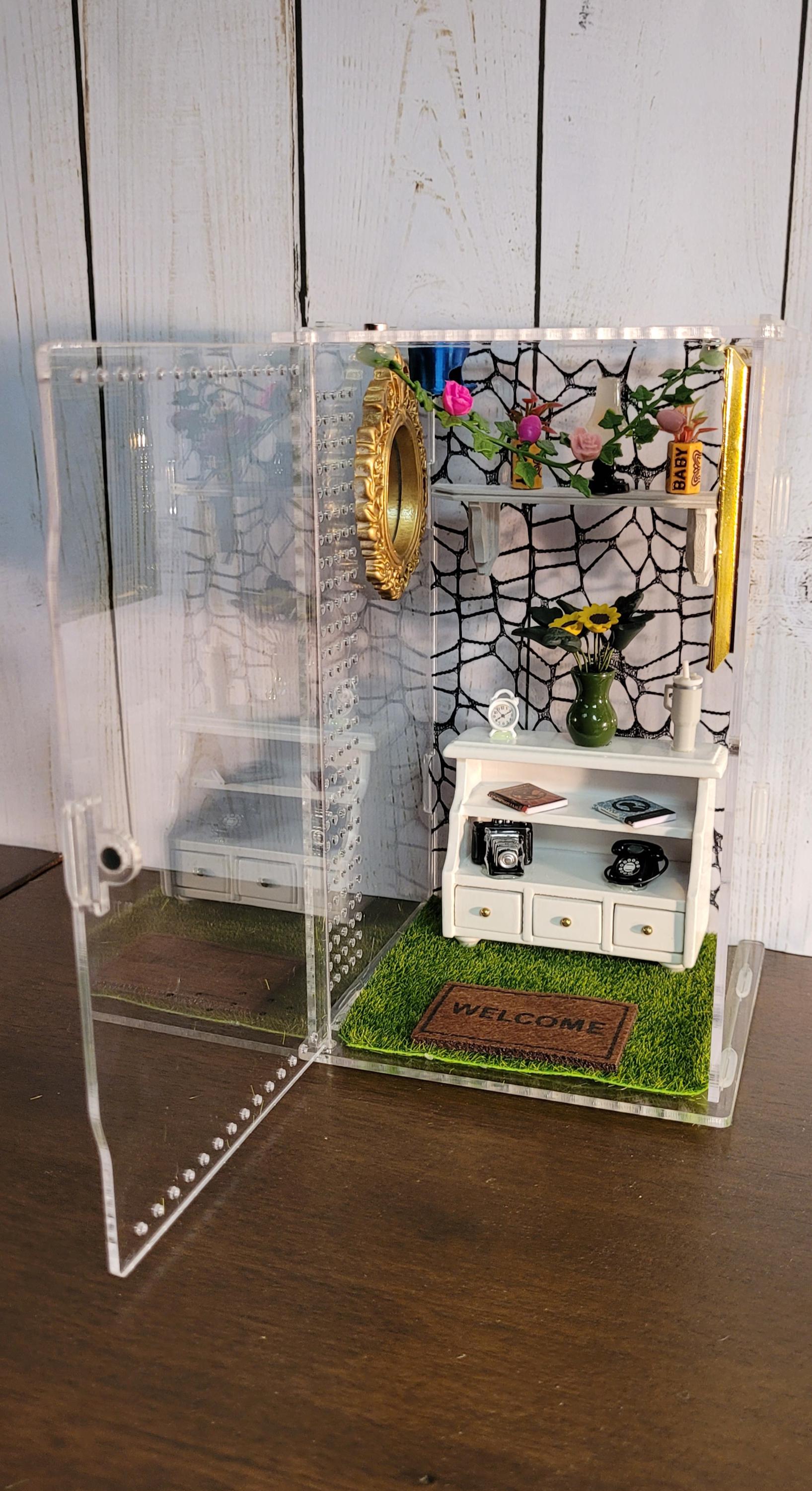 Large Jumping Spider Enclosure - Etsy