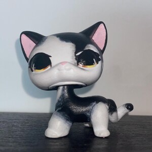 Littlest Pet Shop Custom Cat - Etsy