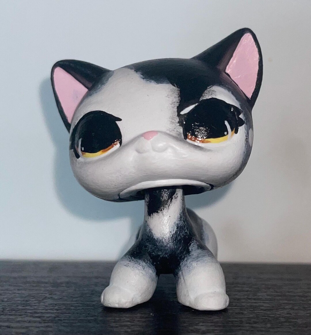 Littlest Pet Shop Custom Cat - Etsy