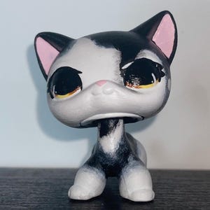 Littlest Pet Shop Custom Cat - Etsy