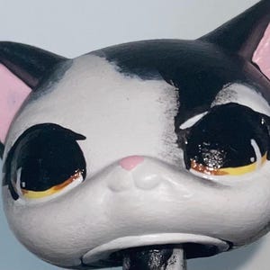 Littlest Pet Shop Custom Cat - Etsy