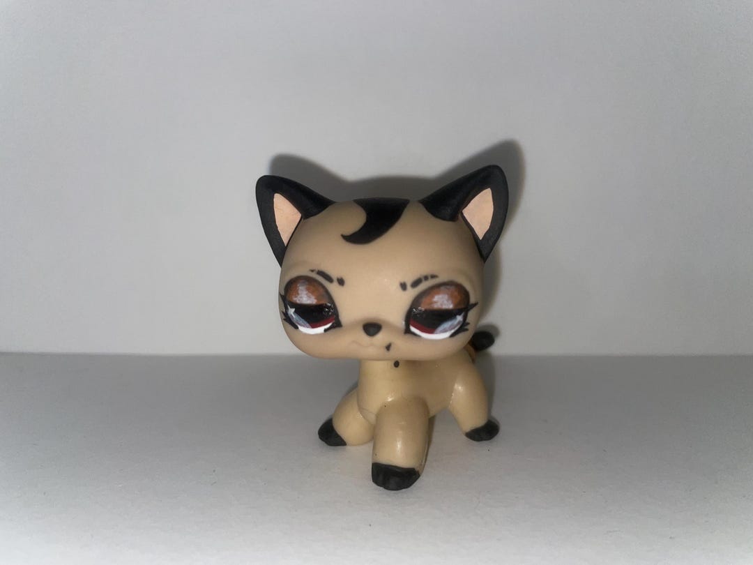 Littlest Pet Shop Custom Cat - Etsy