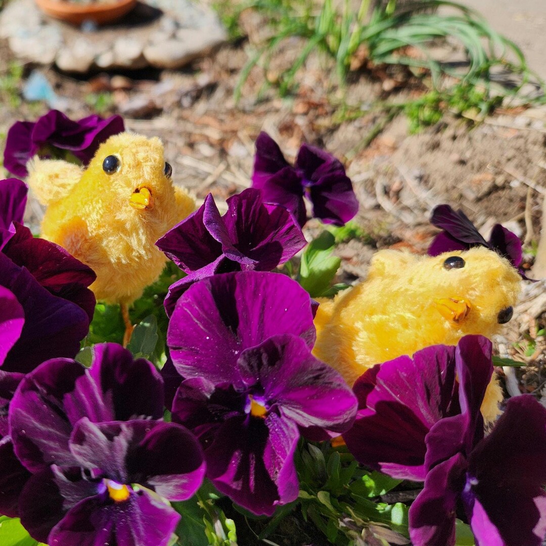 Chich Art Doll Baby Chicken Soft Little Bird Animal Figure - Etsy