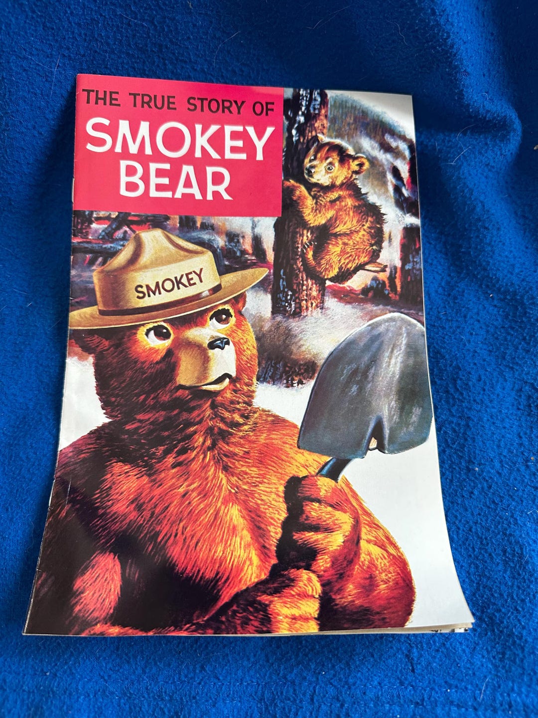 The True Story of Smokey Bear 1969 Comic Book - English Edition - Etsy