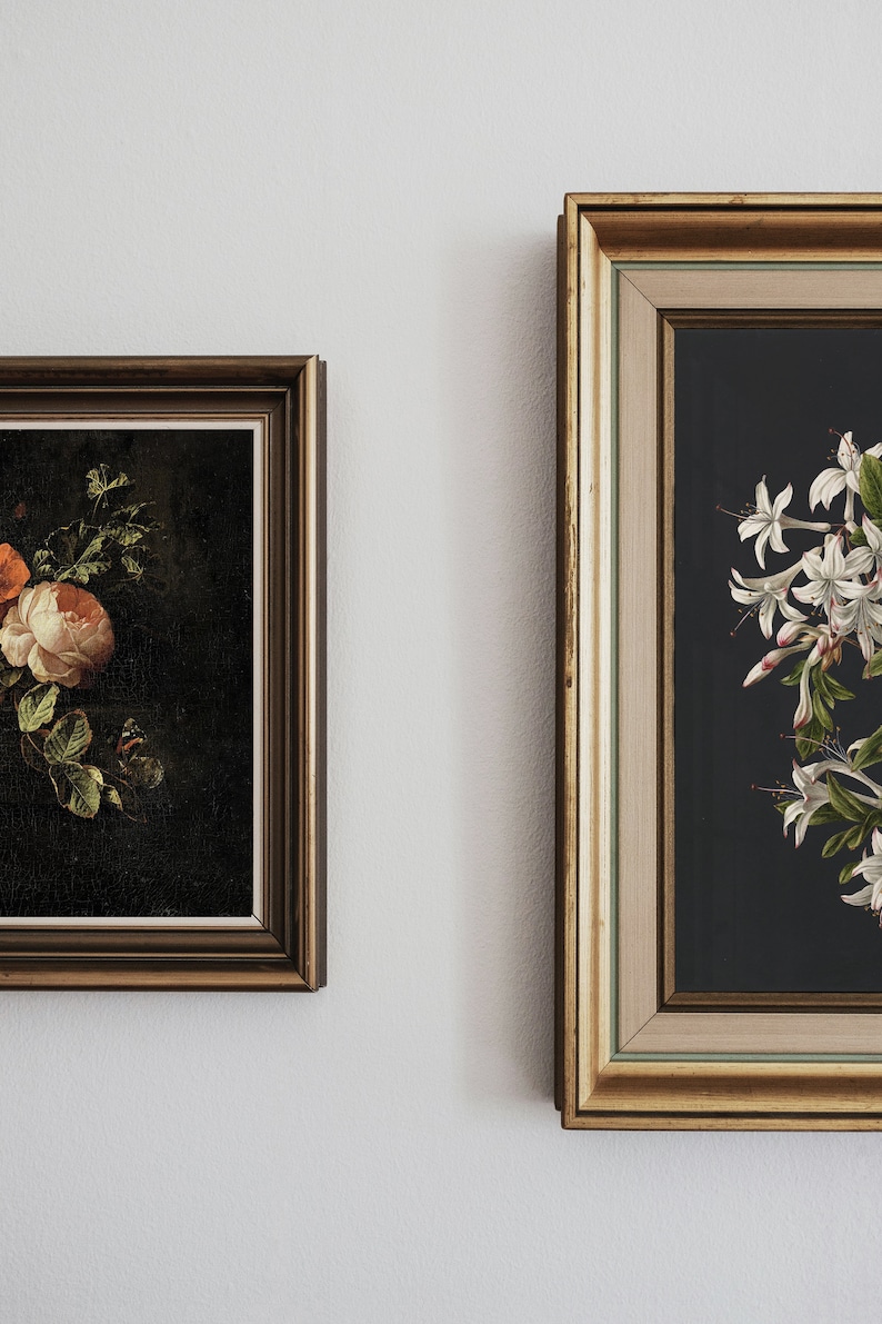 Vintage French Country Botanical Rose Print | Downloadable Moody Floral ...