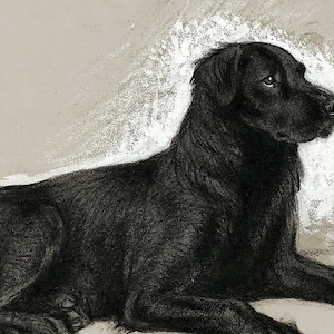 Vintage Black Labrador Dog Wall Art | Antique Dog Painting Digital ...