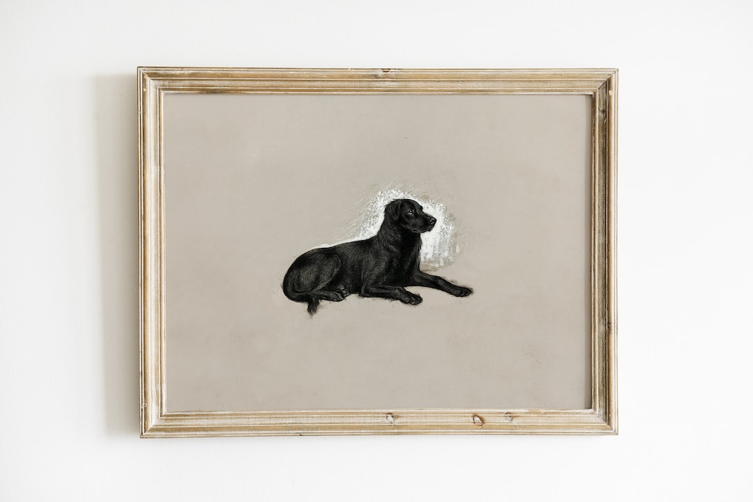 Vintage Black Labrador Dog Wall Art | Antique Dog Painting Digital ...