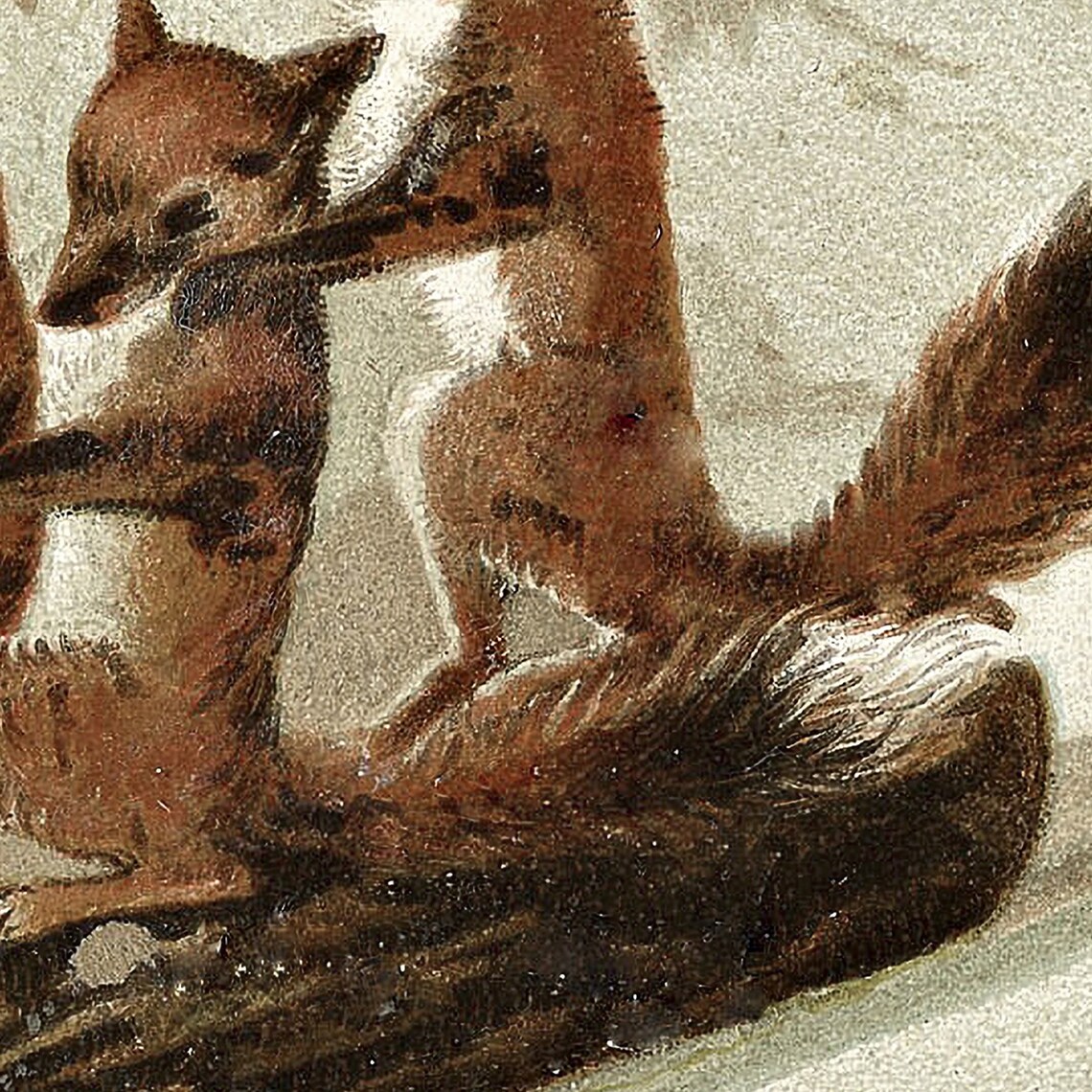 Antique Fox Painting Downloadable Prints Print Yourself - Etsy