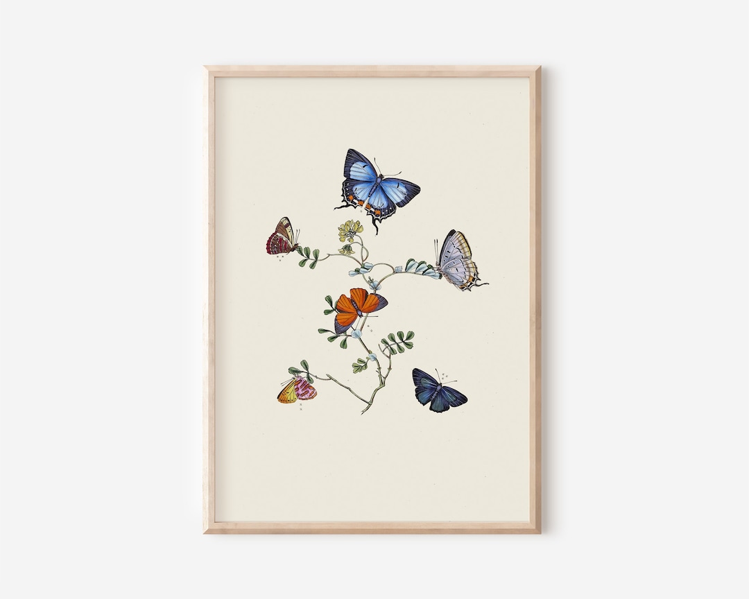 Vintage Butterfly Painting | Antique Butterflies Downloadable Art ...