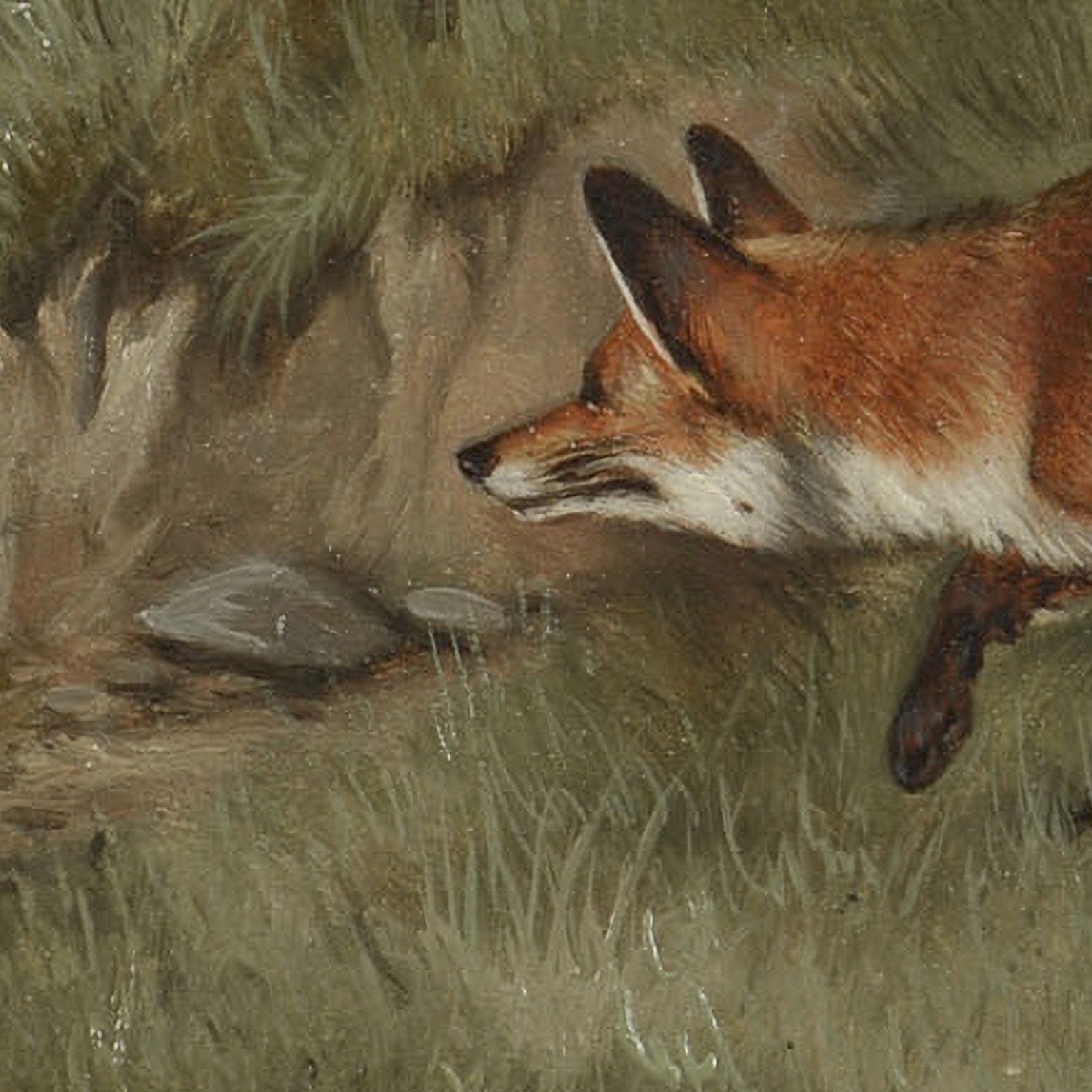 Vintage Fox Print Downloadable Prints PRINTABLES - Etsy