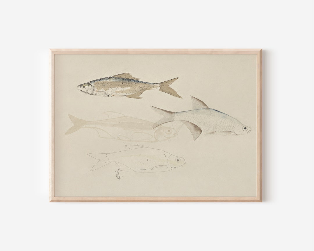 Printable Vintage Fish Sketch Wall Art, Neutral Rustic Office Decor ...