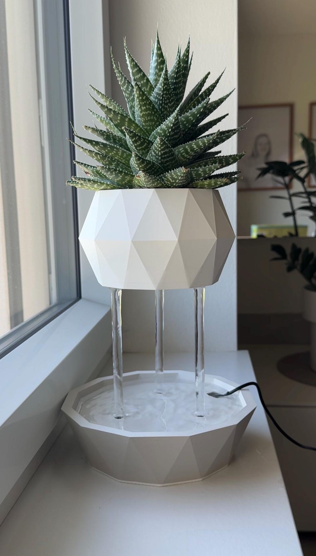 Flying Pot Flying Pot Plants Plant Plant Design Modern Water Levitating ...