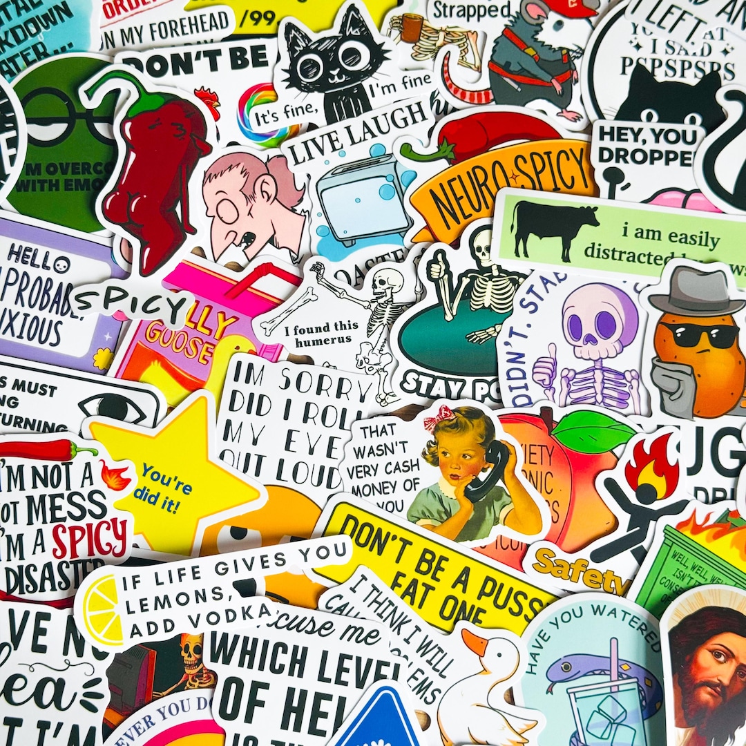 50pcs Funny Puns Stickers, Fun Meme Stickers, Fun Gift, Spicy Stickers ...