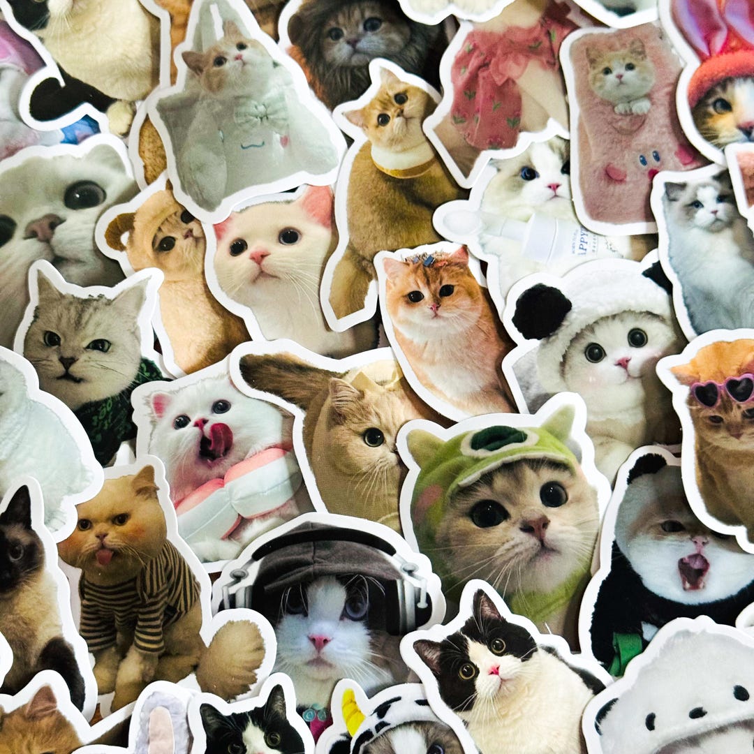 50 Pcs Cute Cat Meme Stickers Funny Cat Sticker Funny Waterproof