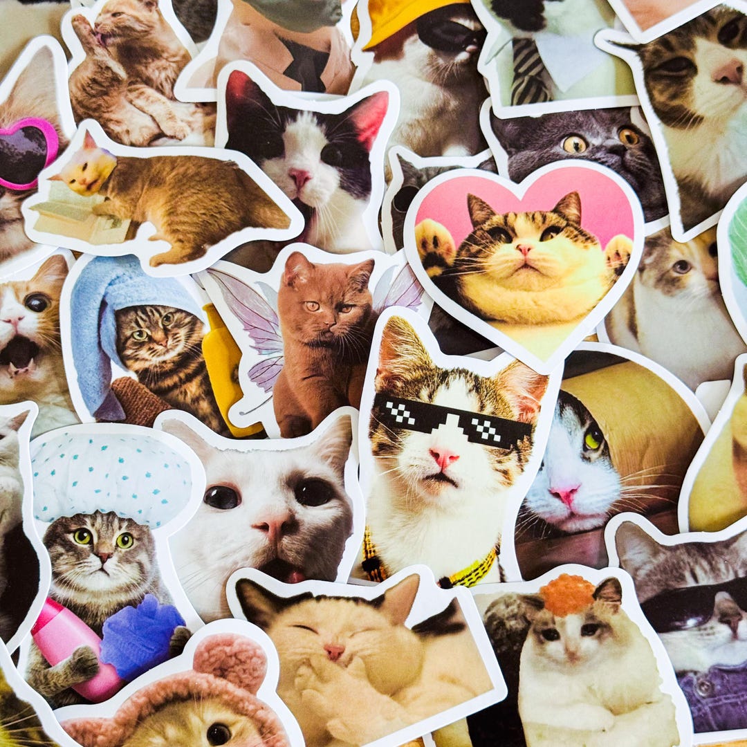100 Pcs Cat Meme Stickers, Funny Cat Sticker, Funny Waterproof Stickers ...