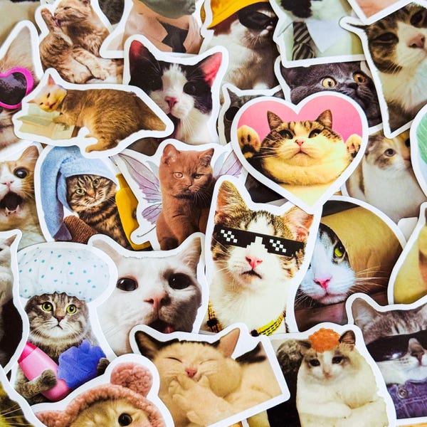 Gatos stickers - Etsy México