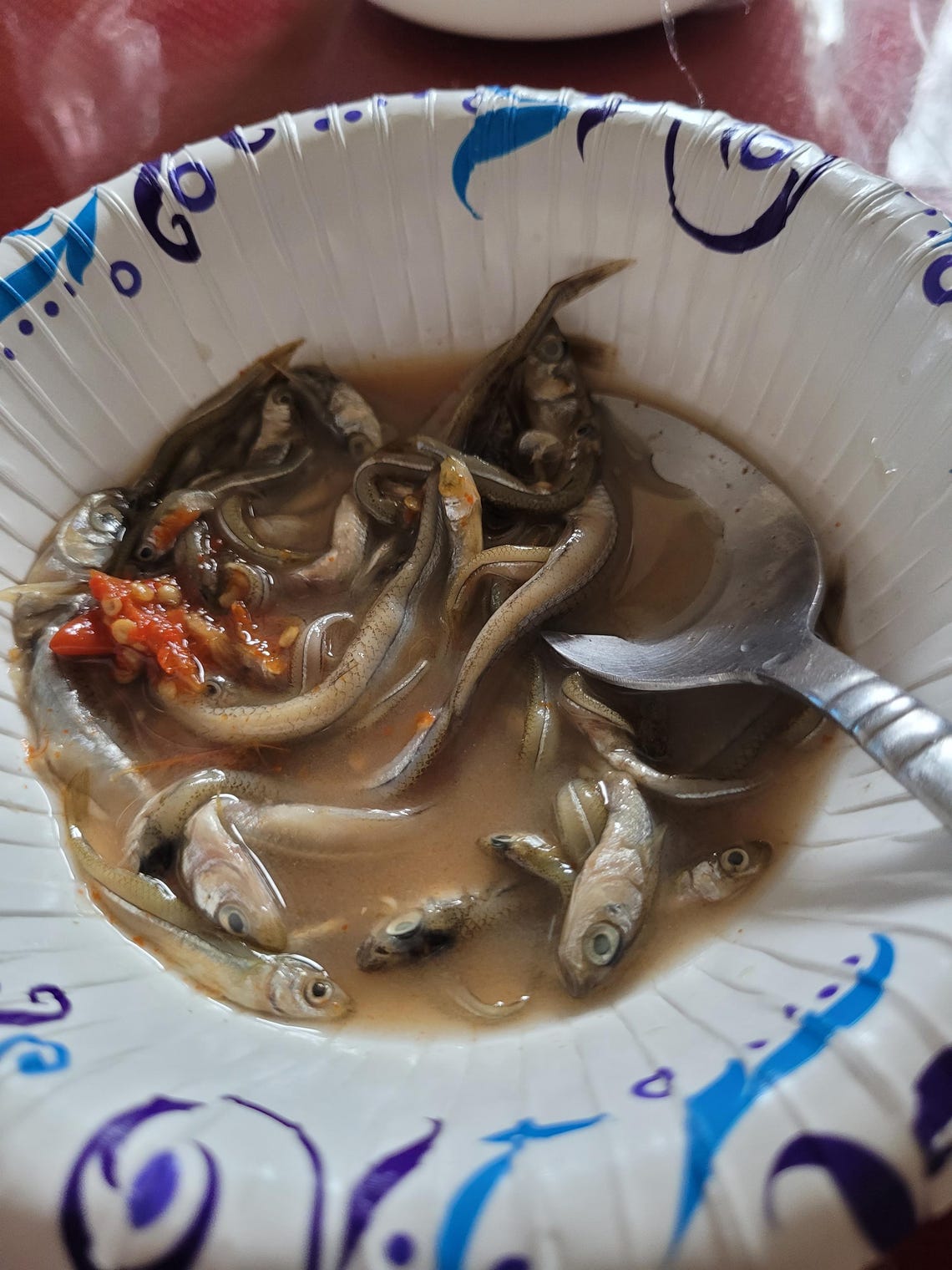 Fermented Salted Anchovy,(ginamos) Fresh Anchovies, No Preservatives ...