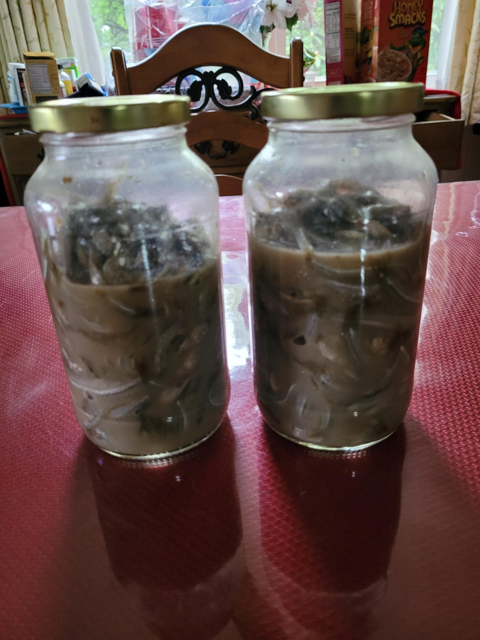 Fermented Salted Anchovy,(ginamos) Fresh Anchovies, No Preservatives ...