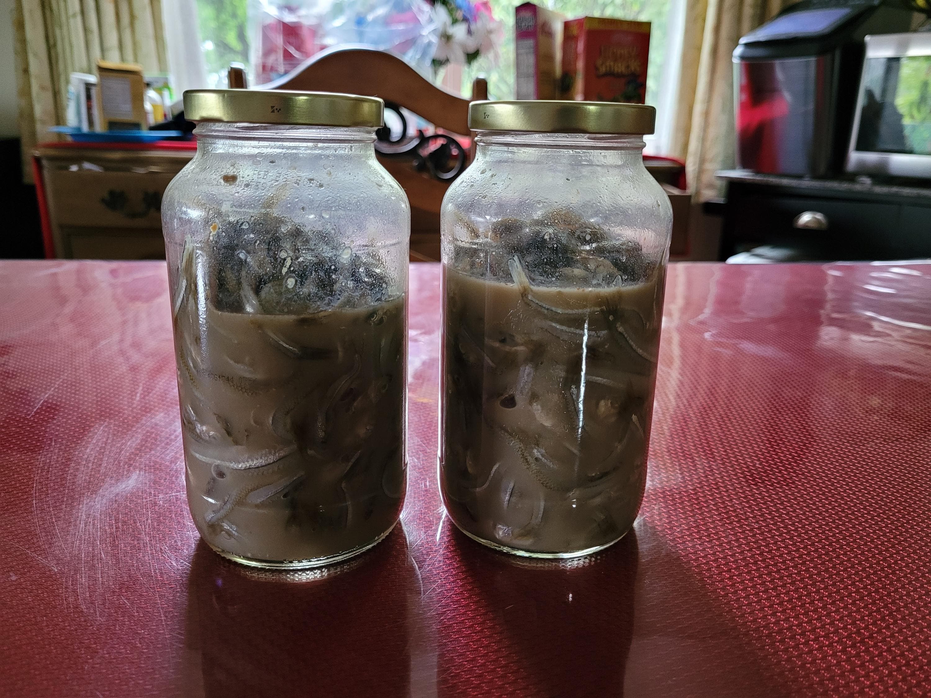 Fermented Salted Anchovy,(ginamos) Fresh Anchovies, No Preservatives ...