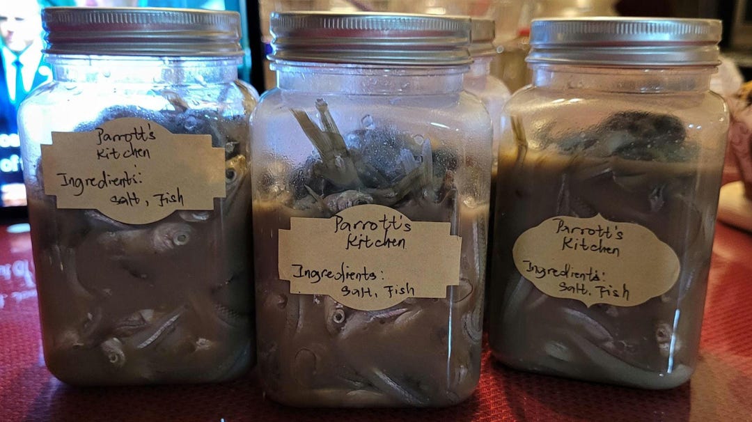 Fermented Salted Anchovy,(ginamos) Fresh Anchovies, No Preservatives ...