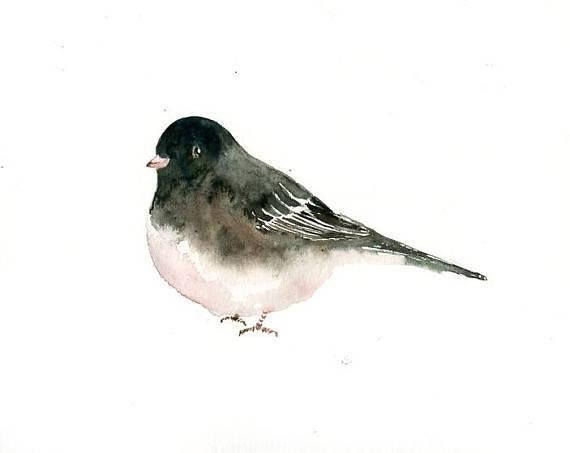 8 x 10 Watercolor Print Dark-eyed Junco Bird Watercolor Art ...