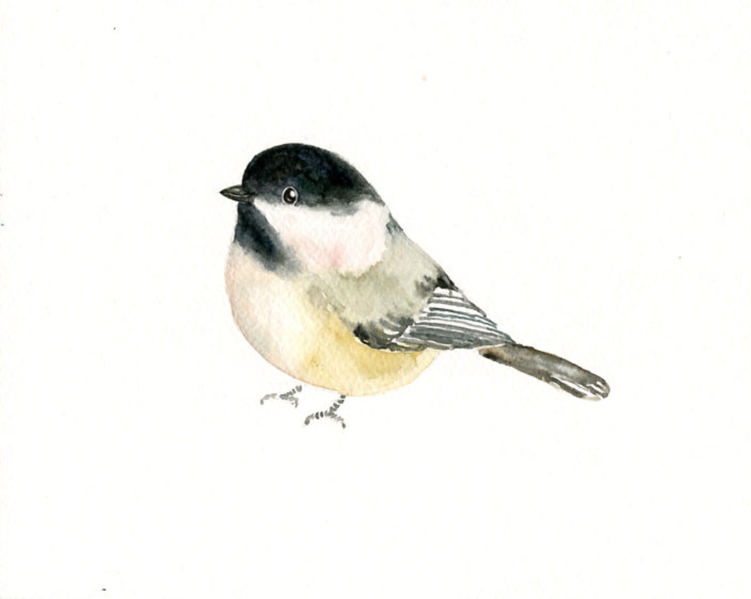 Chickadee, Animal Watercolor, Original Watercolor Painting, Bird Art ...