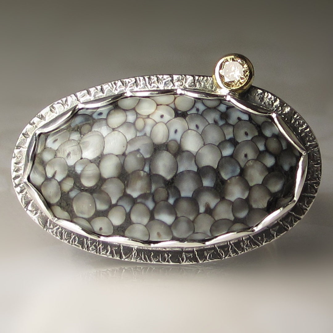 Fossilized Snakeskin Stone Ring Wrasse Snakeskin Champagne - Etsy