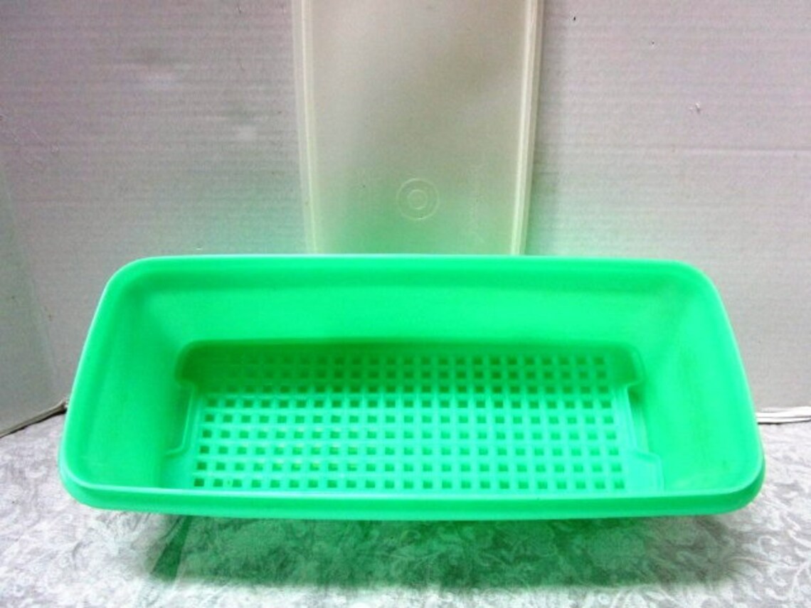Extra Long Vintage Tupperware Celery Crisper 3 Piece Complete | Etsy