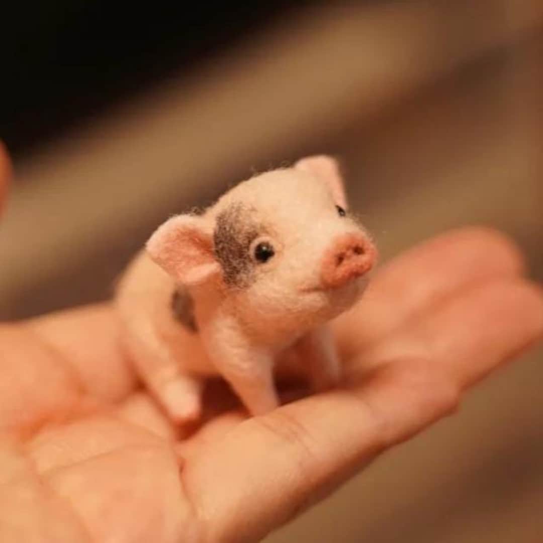 Needle Felted Pig Sculpture • 3 Inch Mini Animal Decor - Etsy