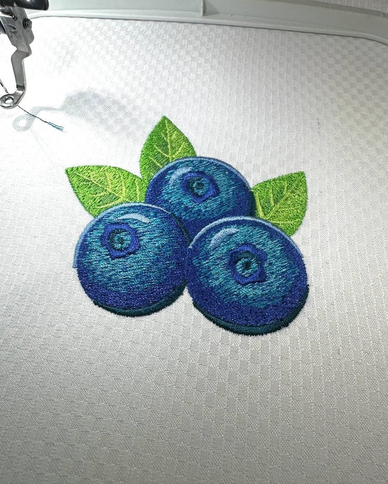 Blueberry Embroidery Design – Realistic Fruit Digital File for Machine ...