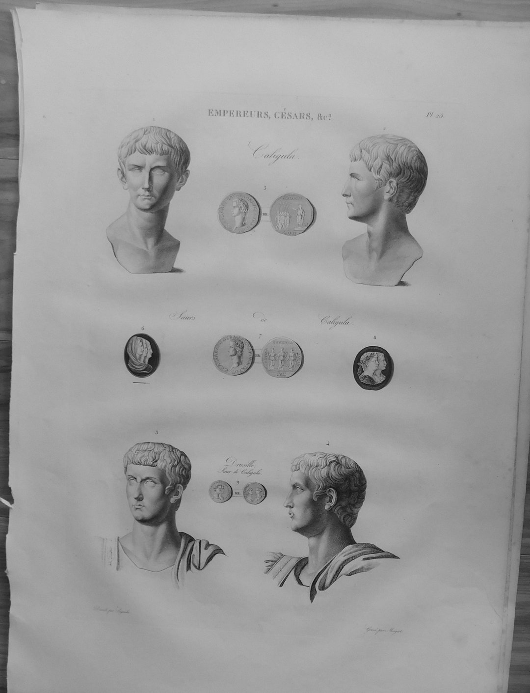 Caligula Large 23 1/2 by 17 1/2 Antique Print of the Roman Emperor ...