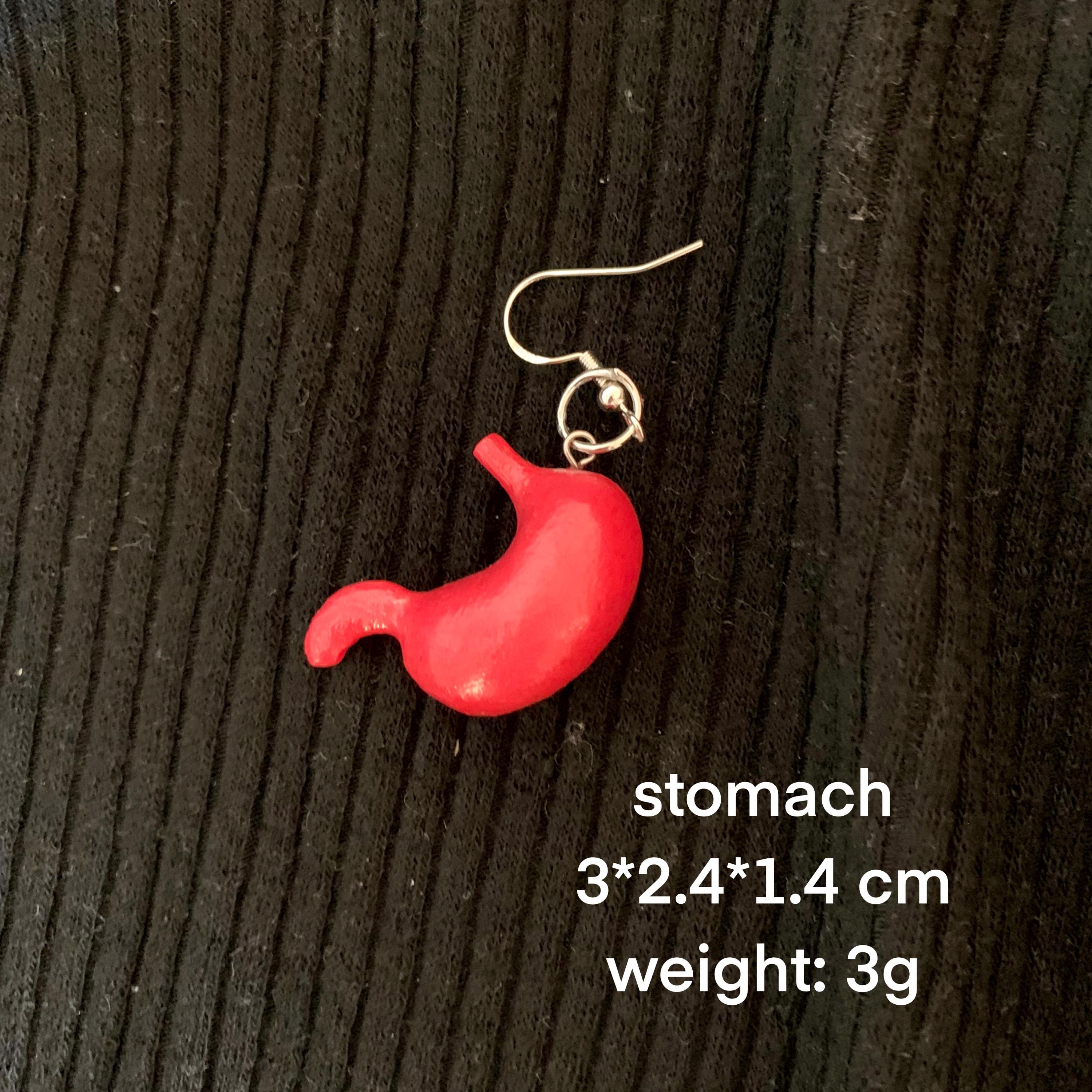 Anatomically Accurate Human Vital Organs Earrings - Etsy