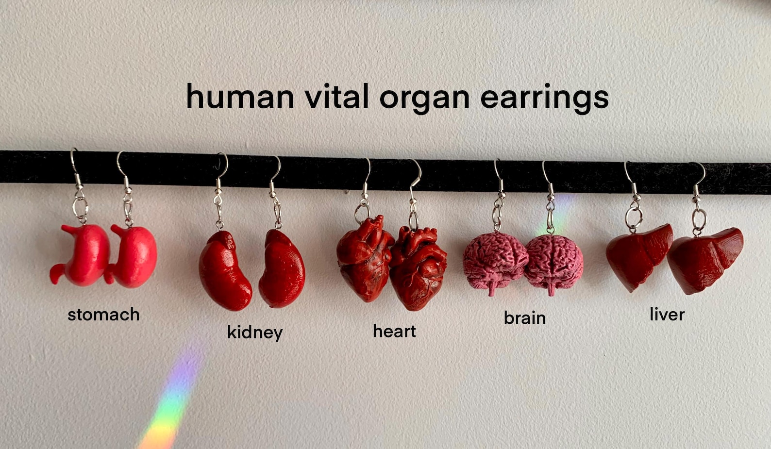 Anatomically Accurate Human Vital Organs Earrings - Etsy