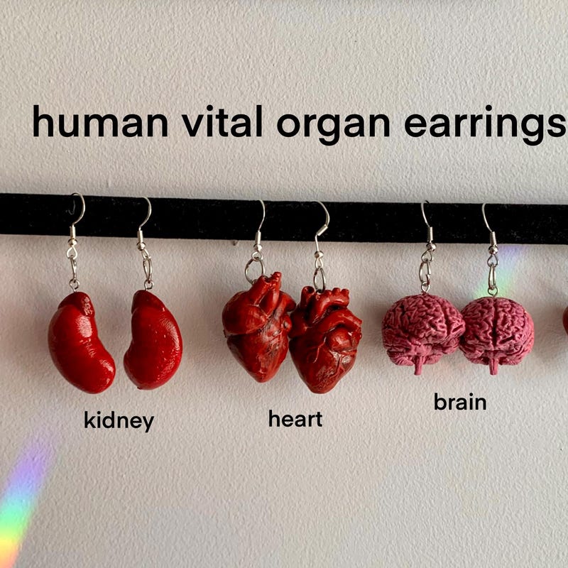 Stomach Organ Merch - Etsy Canada