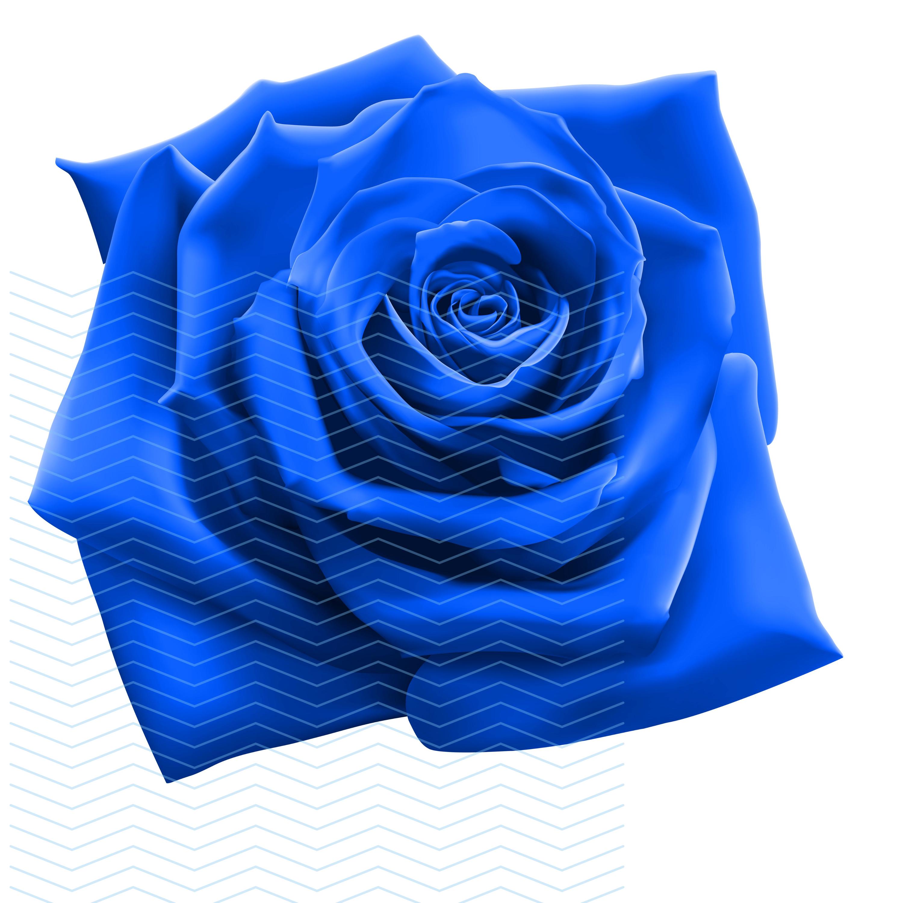 Blue Roses Clip Art Collection: 10 PNG Images, Sublimation Design ...