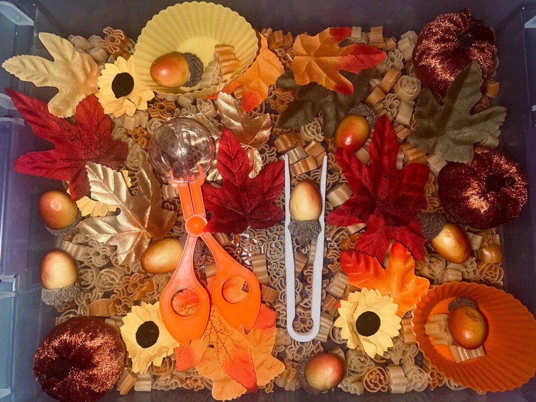 Fall/autumn Sensory Bin Acorns Leaves Pumpkins Kids Learning Motor ...