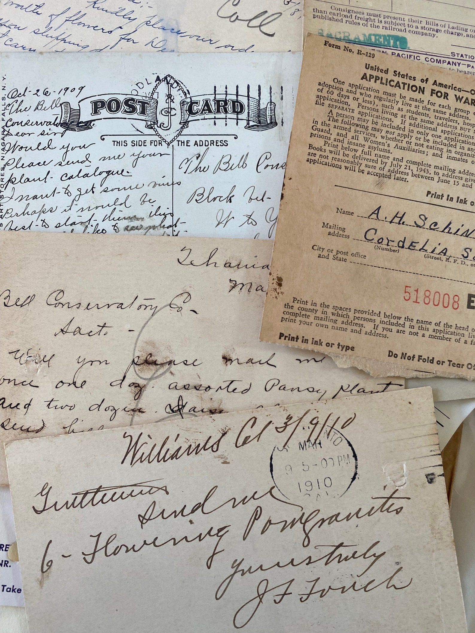 Huge Collage Original Ephemera Lot for Junk Journals or Collage - Etsy